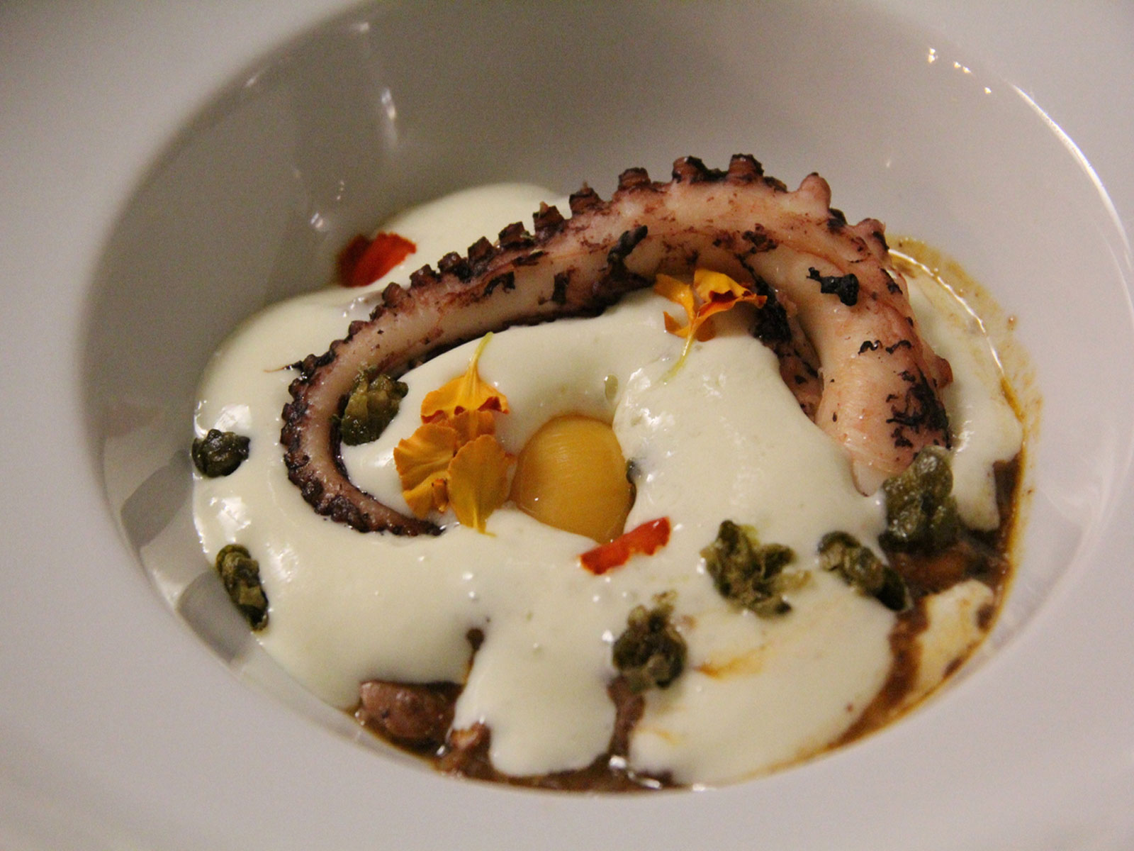 Home - Pansion & Restaurant KOLO